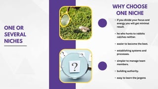 Niche Analysis for Client Outreach Outside Marketplace.pptx