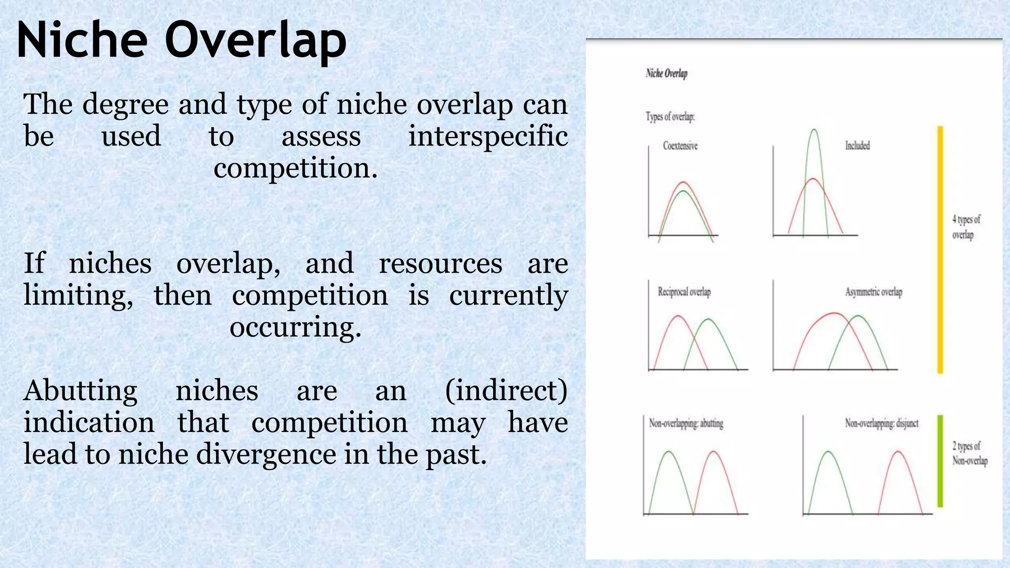 Niche concept | PPTX