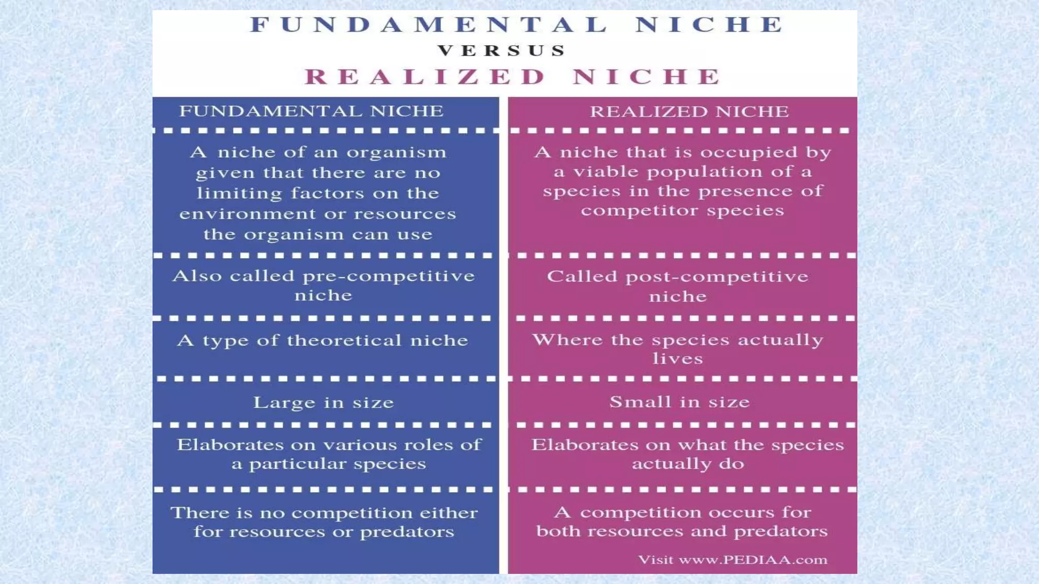 Niche concept | PPTX