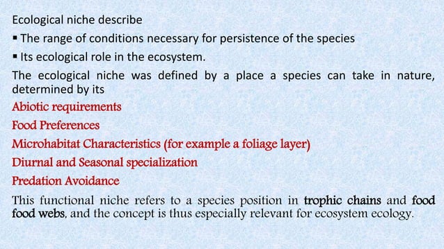 Niche concept | PPTX