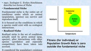 Niche concept | PPTX