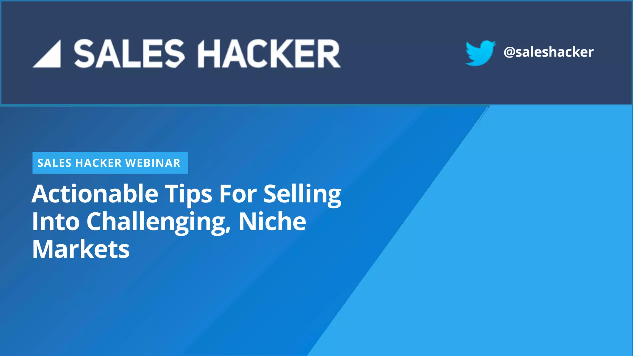 Actionable Tips For Selling Into Challenging, Niche Markets | PDF