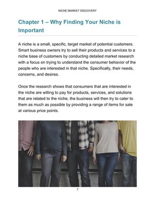 Niche market discovery | PDF