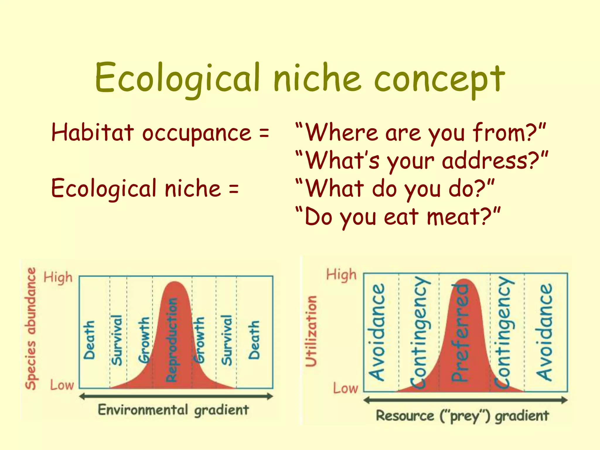Niches | PPT