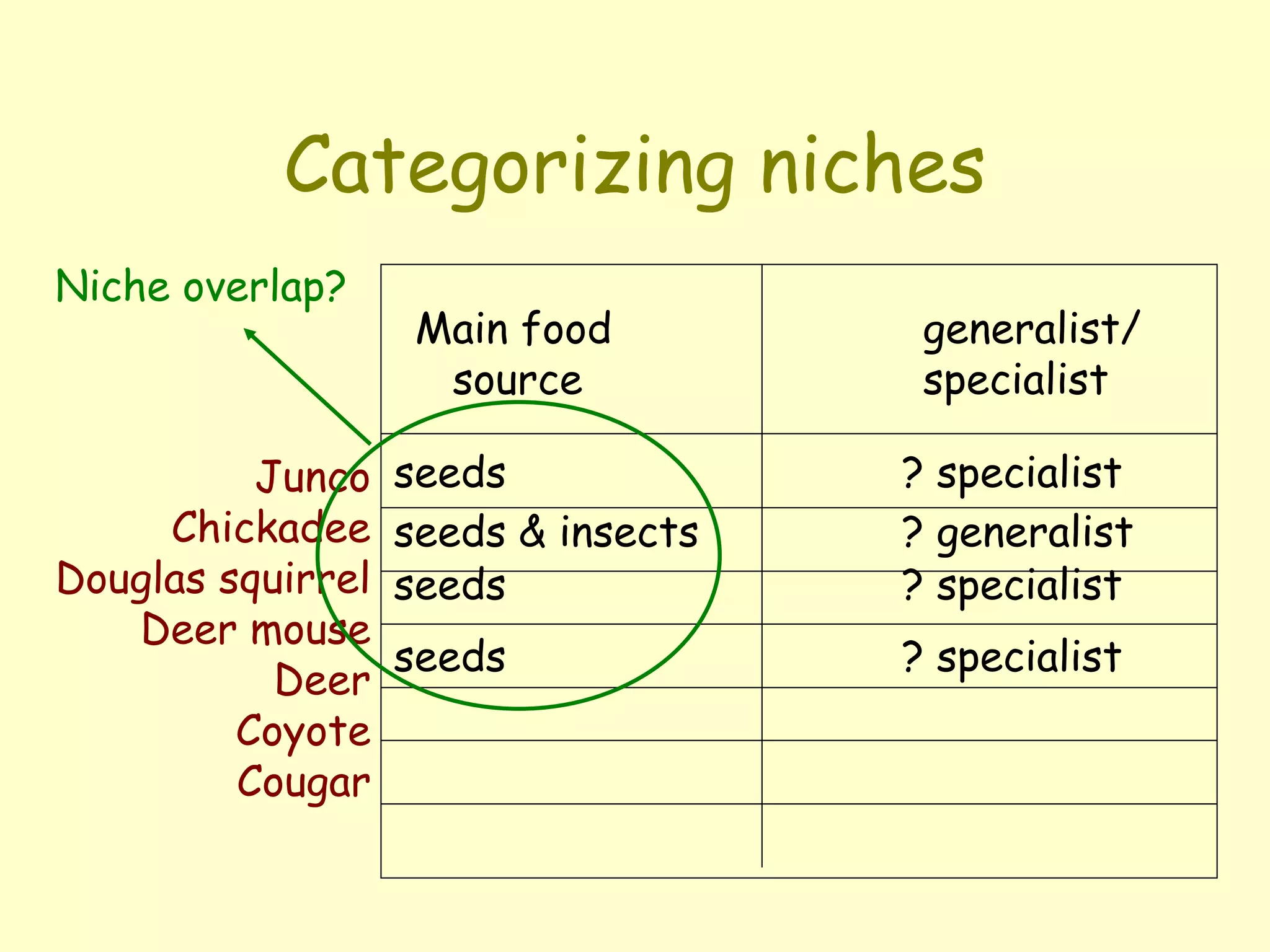 Niches | PPT