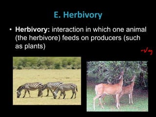 Niches and interactions | PPTX