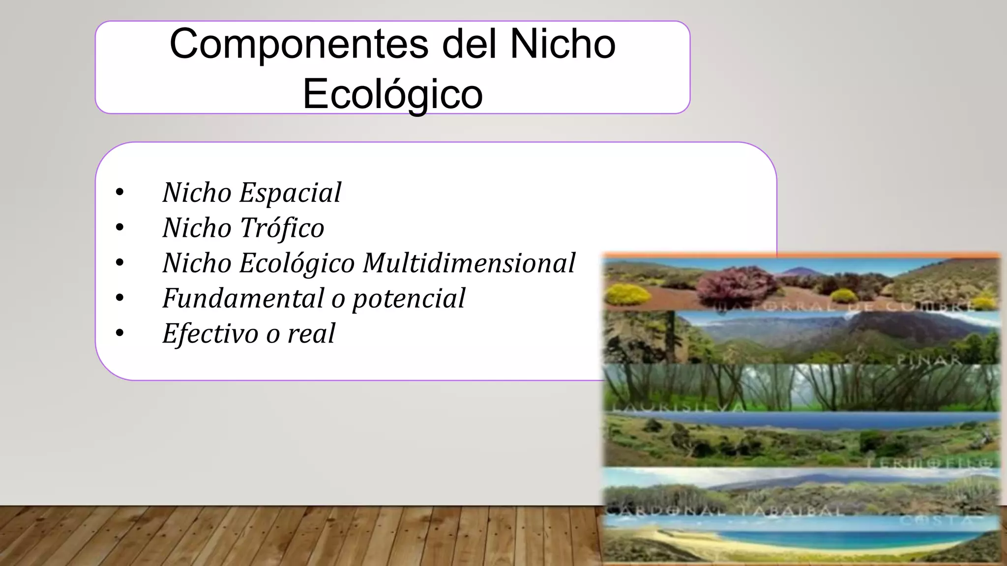 Nicho ecológico | PPTX