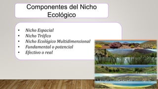 Nicho ecológico | PPTX