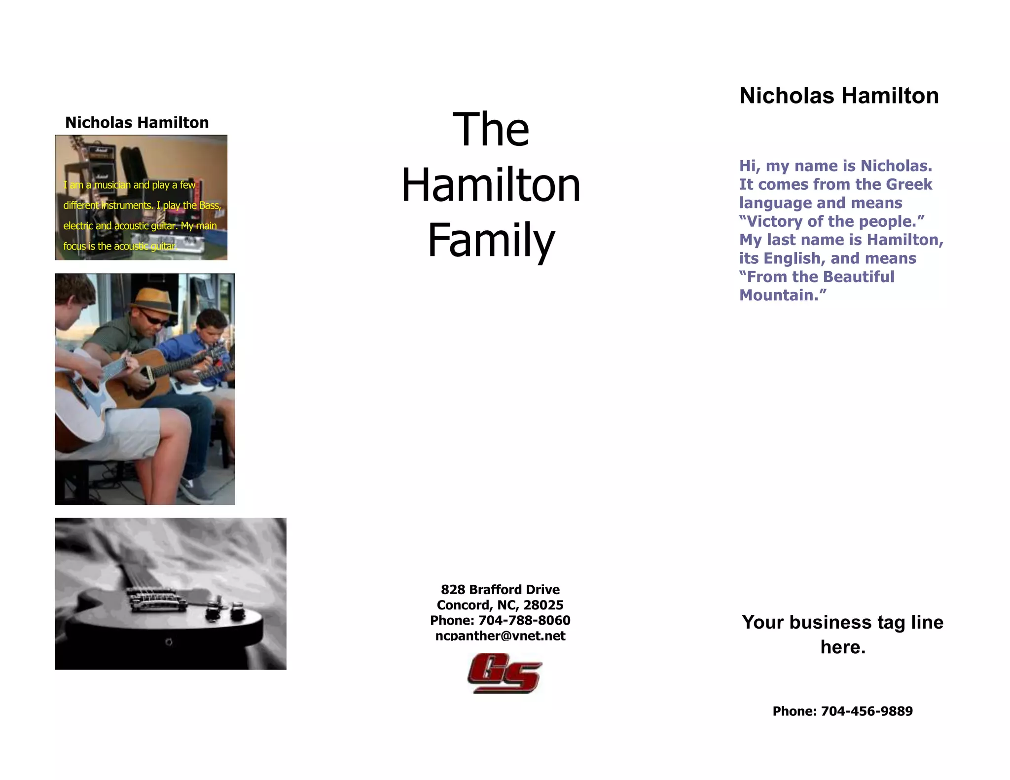 Nicholas hamilton project brochure | PPT