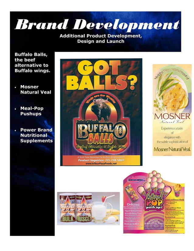 Nicholas renzi portfolio