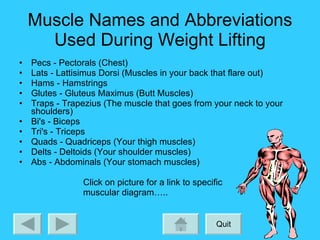 Nick Ed Pp Interactive tour of Weight Lifting | PPT