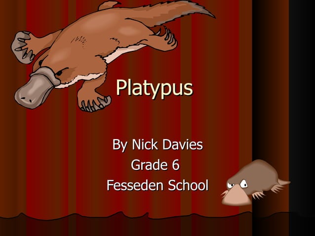 Nick davies platypus | PPT | Reptiles | Pets