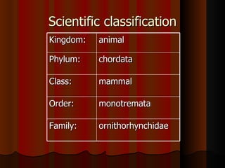 Nick davies platypus | PPT