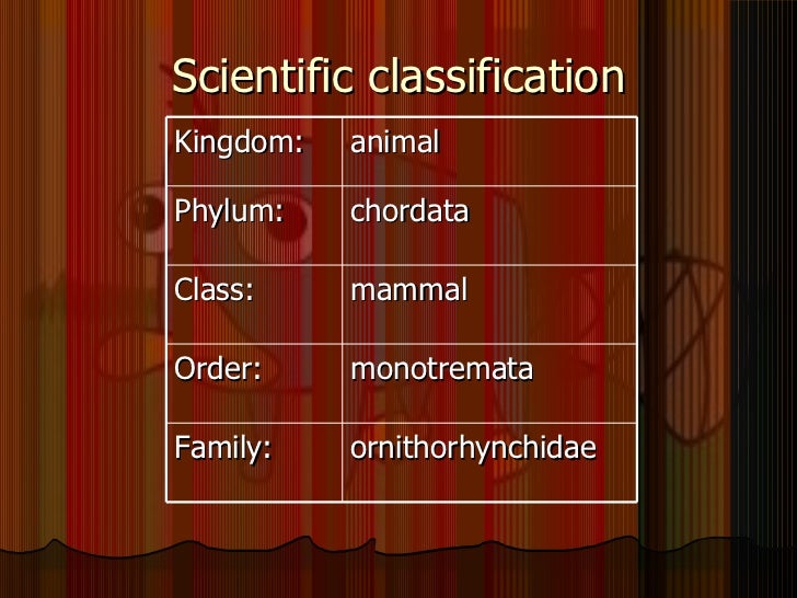 Nick davies platypus