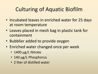 Nickel power point for sig xi | PPTX