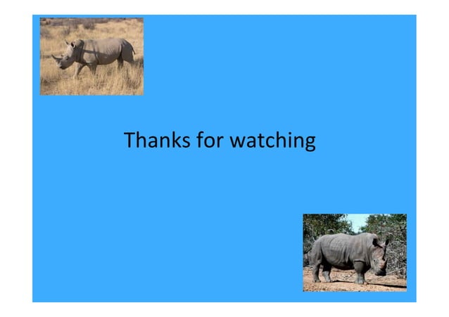 Nick's Rhino Project | PPT