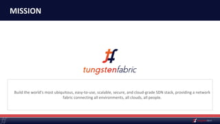 Tungsten Fabric Overview | PDF
