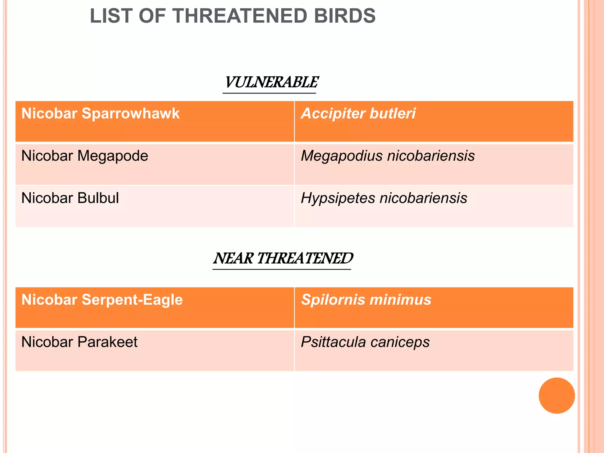 Biodiversity of Nicobar Islands | PPTX