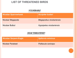 Biodiversity of Nicobar Islands | PPTX