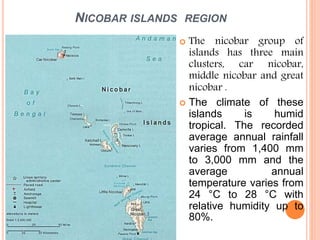 Biodiversity of Nicobar Islands | PPTX