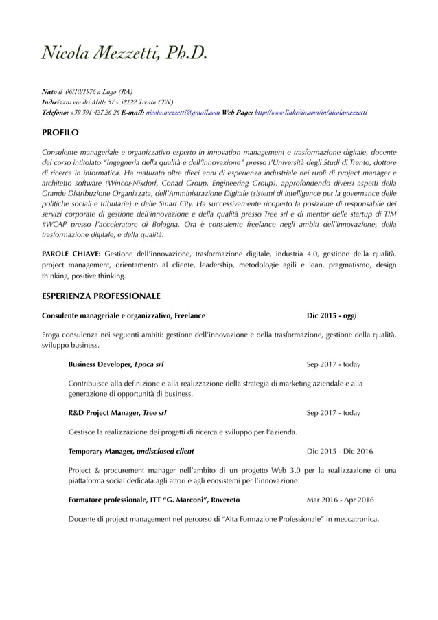 Nicola_Mezzetti_CV_ita.pdf