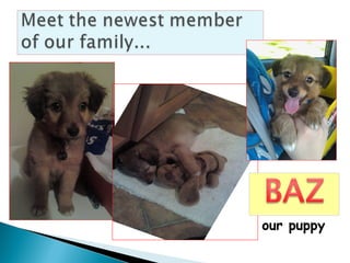 Nicola presentation | PPT