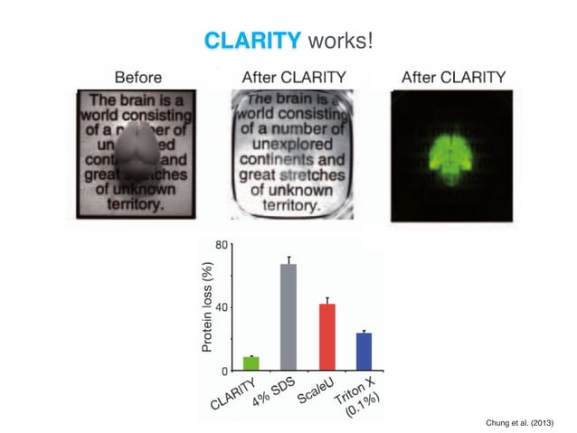 CLARITY technique for clarified tissues | PDF | Chemistry | Science