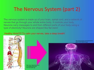 Nicole a | PPT