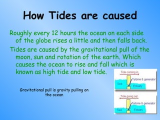 Emily and Nicole | PPT