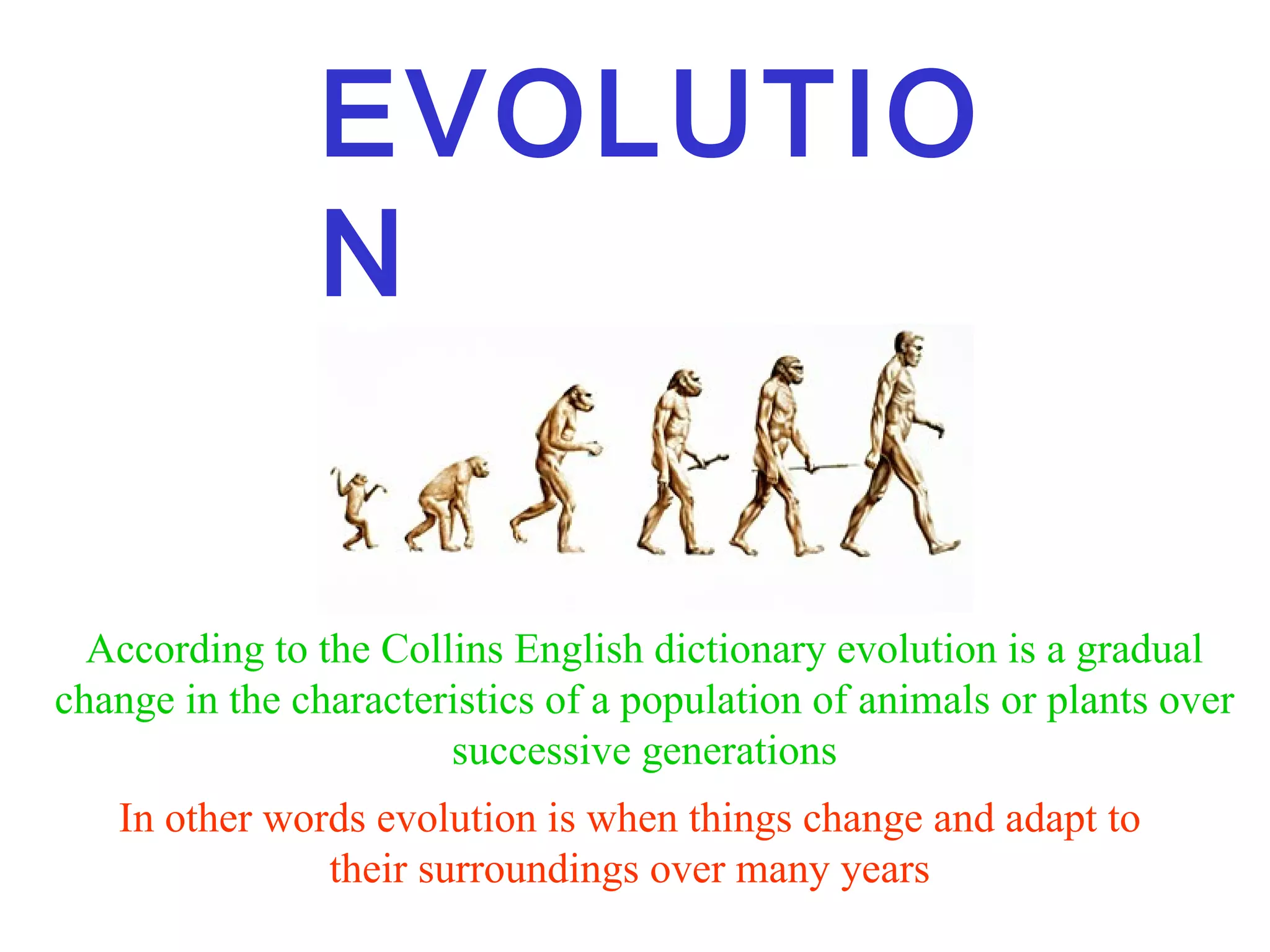 Nicole Presentation | PPT