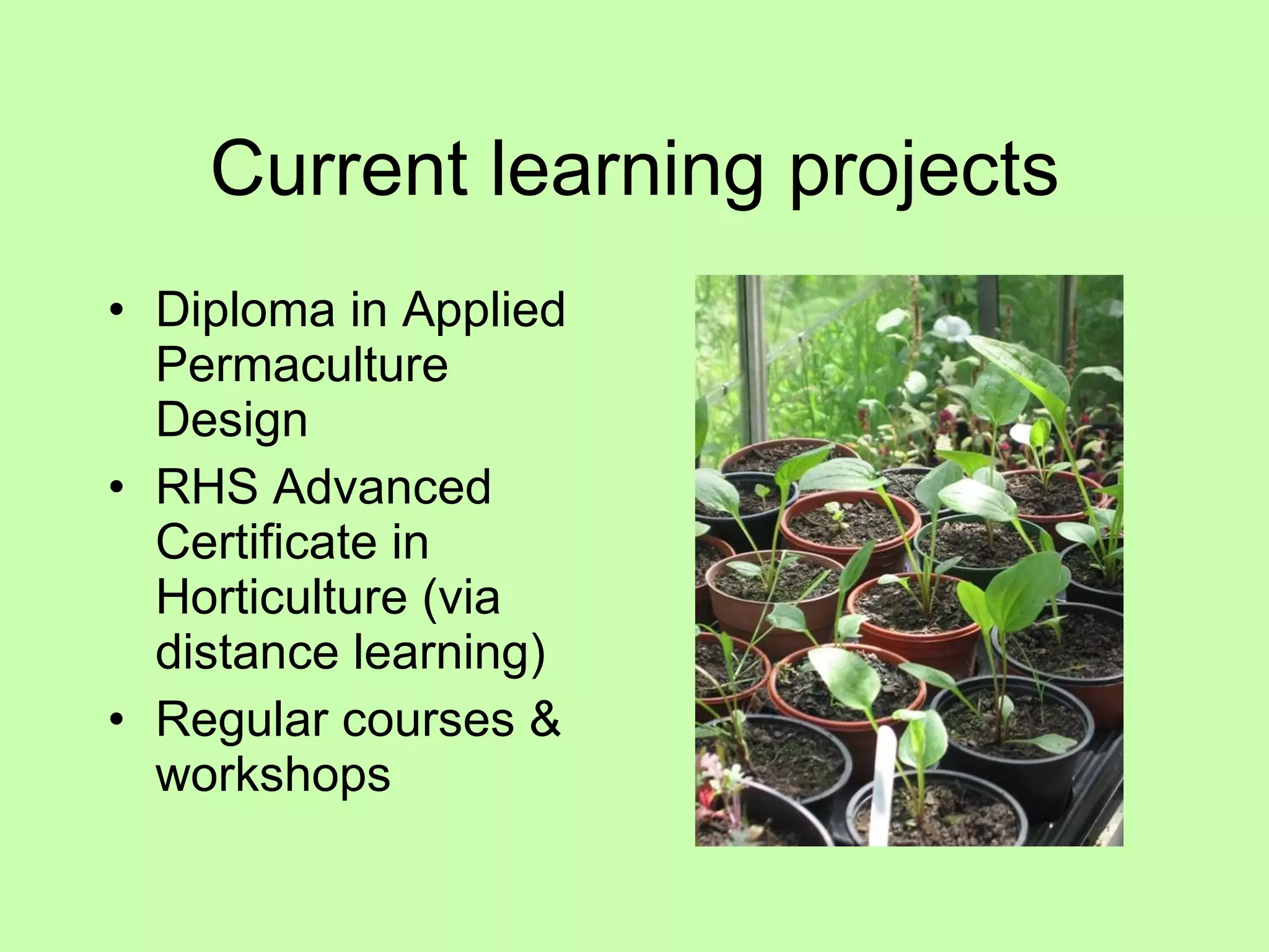 Current Projects | PPT