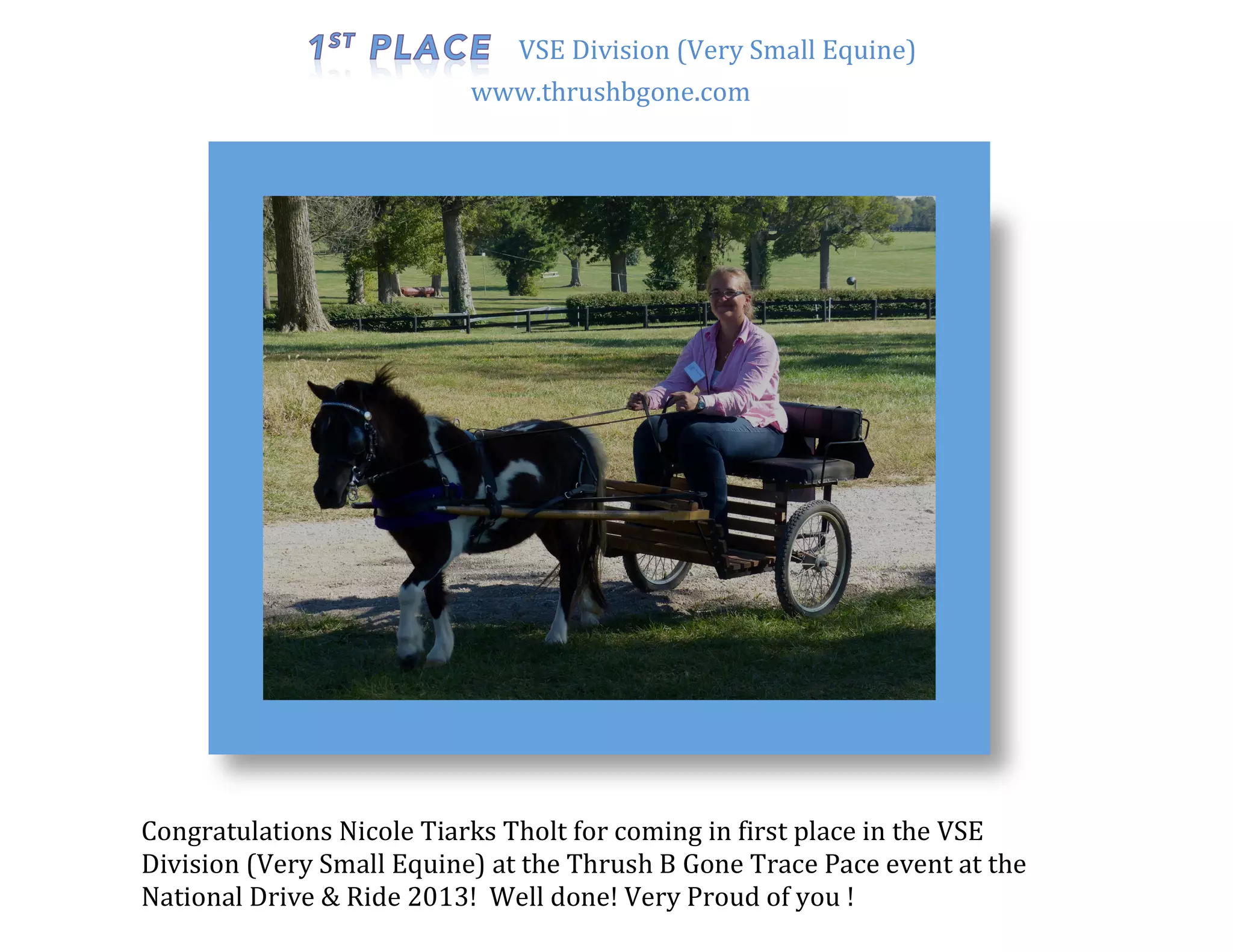 Nicole tiarks tholt | PDF