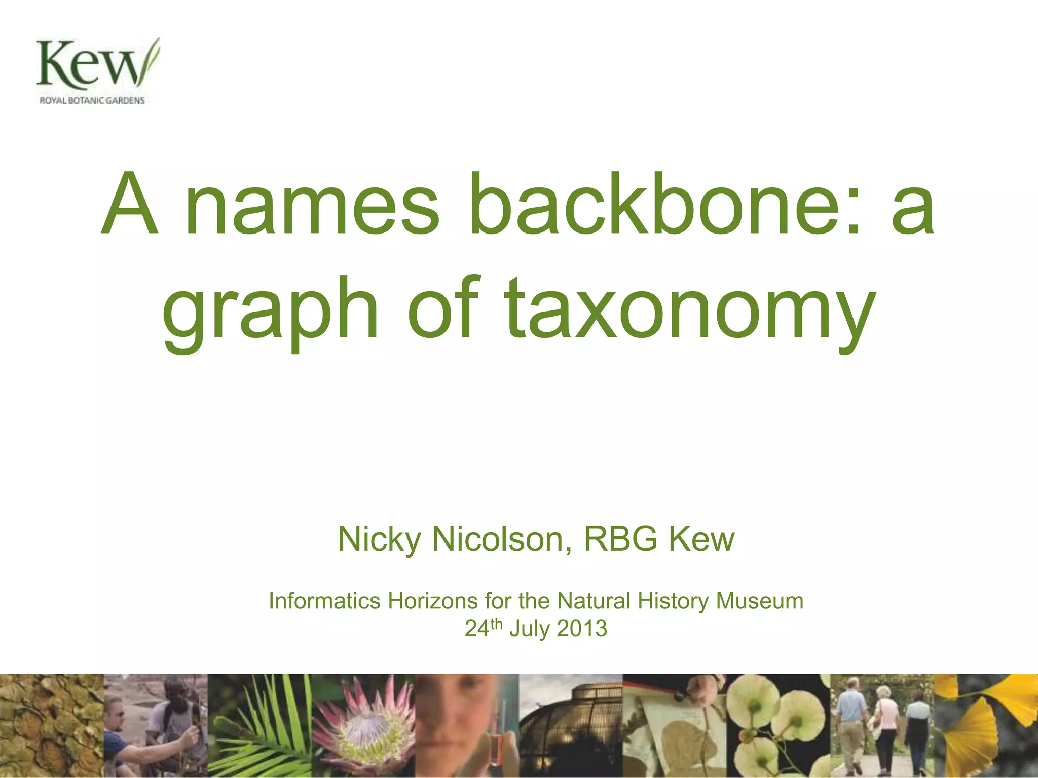 A names backbone - a graph of taxonomy | PPT