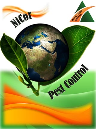 NiCor company profile | PDF