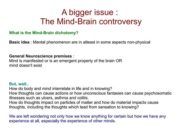 Re-thinking about the brain [based on the case of Nico-with half a ...