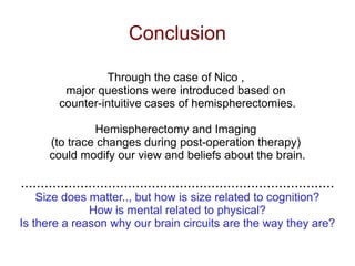 Re-thinking about the brain [based on the case of Nico-with half a ...