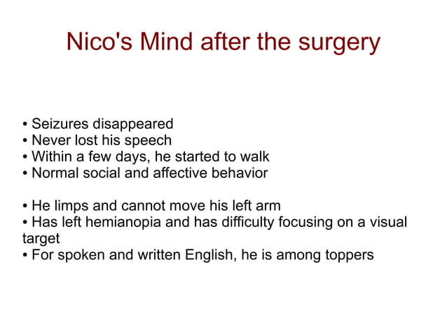 Re-thinking about the brain [based on the case of Nico-with half a ...