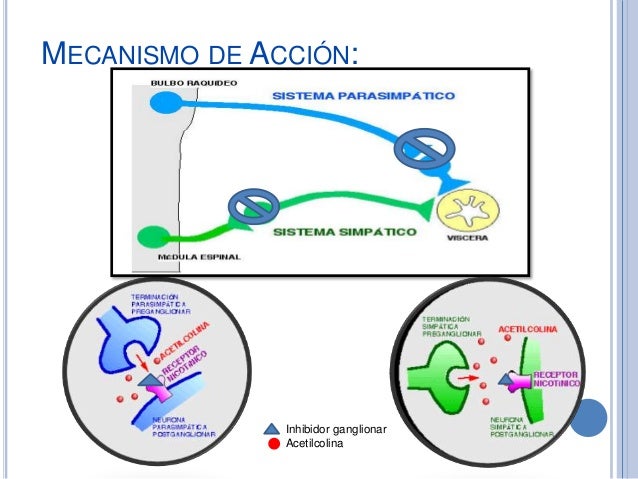 Nicotina farmacologia