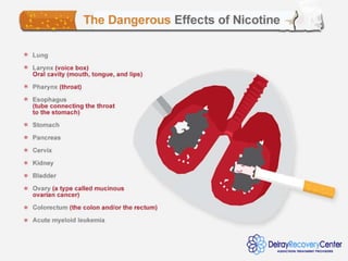 The Dangerous Effects of Nicotine | PPTX
