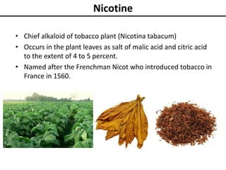 Nicotine | PPTX