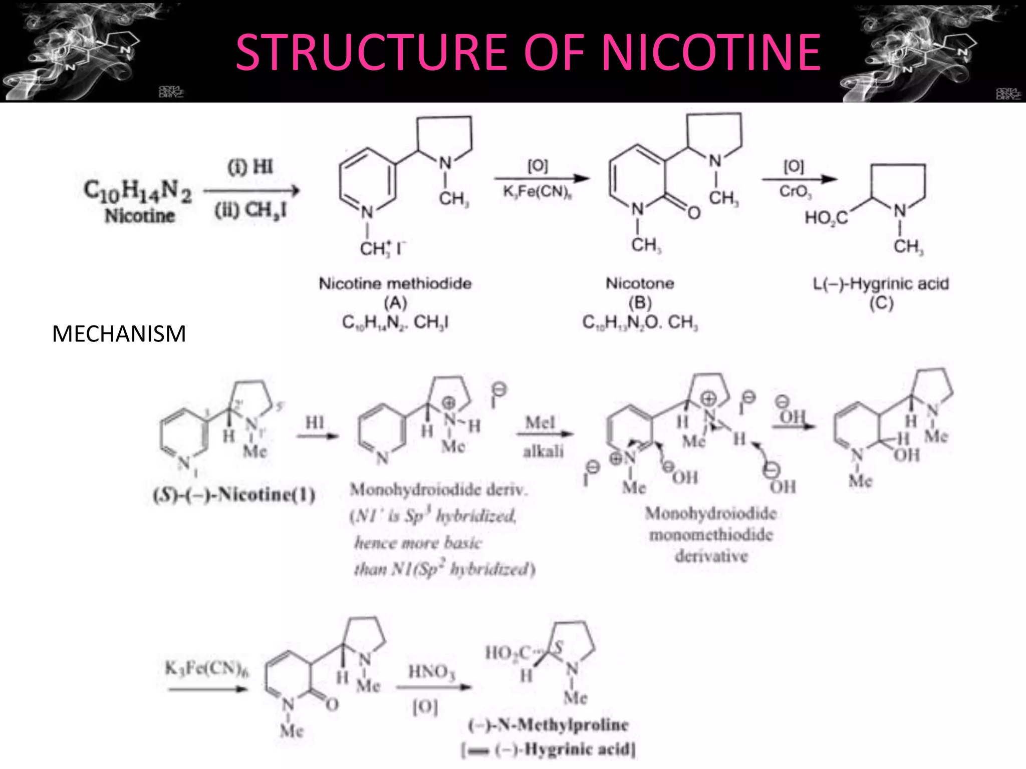 Nicotine - Structural elucidation | PPTX
