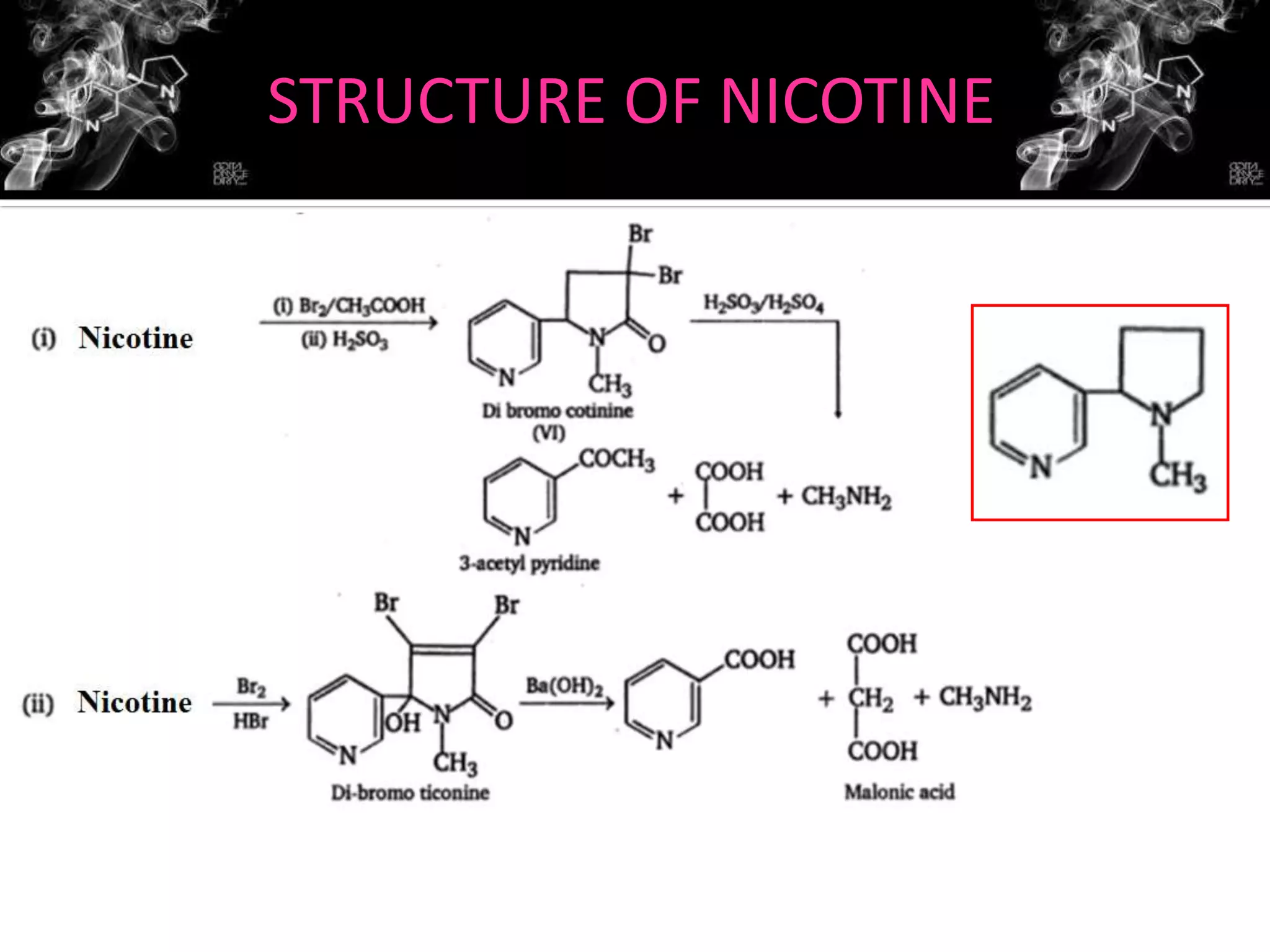 Nicotine - Structural elucidation | PPTX