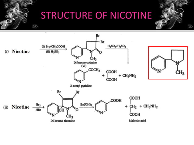 Nicotine - Structural elucidation | PPTX | Smoking Cessation | Wellness