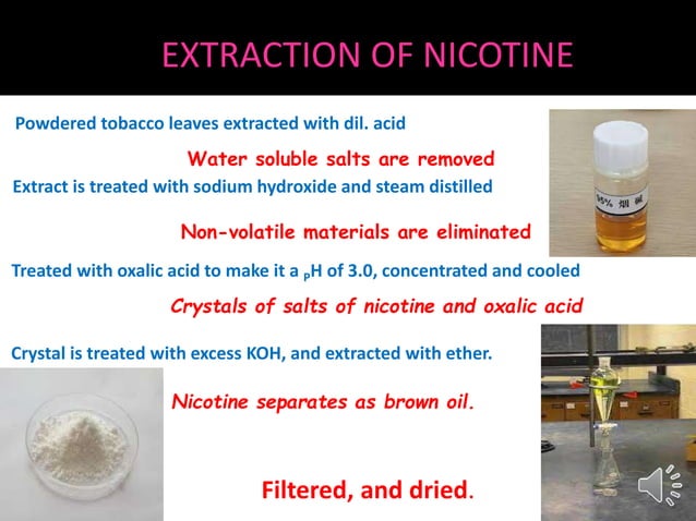 Nicotine - Structural elucidation | PPTX | Smoking Cessation | Wellness