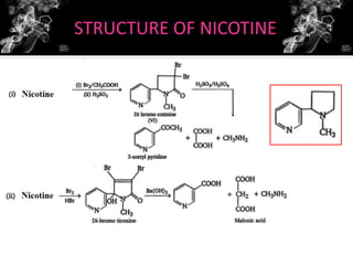 Nicotine Structure