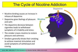 Nicotine Addiction Cycle