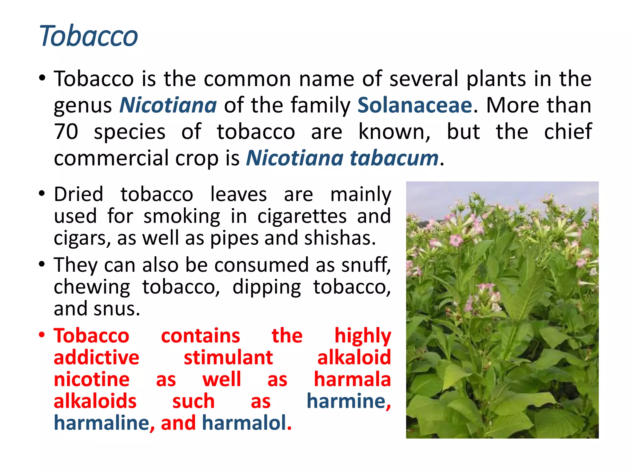 Nicotine and Tobacco | PPTX