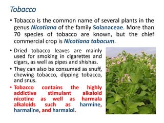 Nicotine and Tobacco | PPTX
