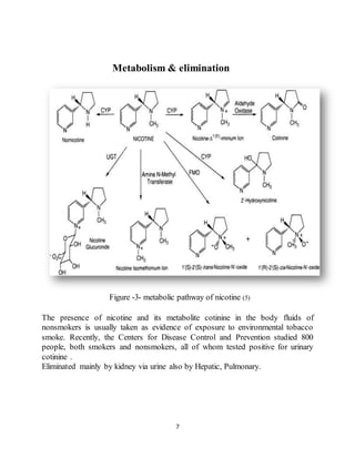 Nicotine content in different tobacco species | DOCX