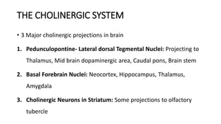Nicotine Pharmacodynamics | PPT | Free Download